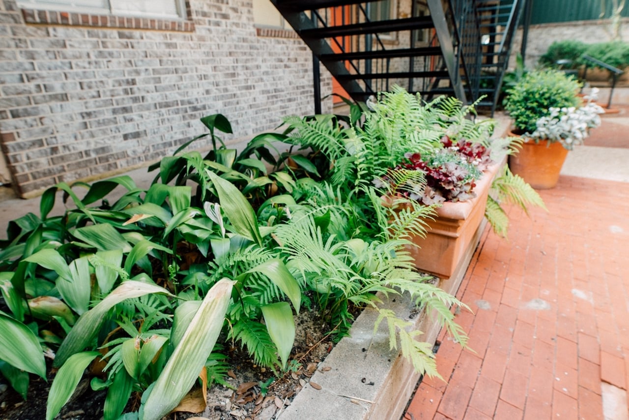 Houses