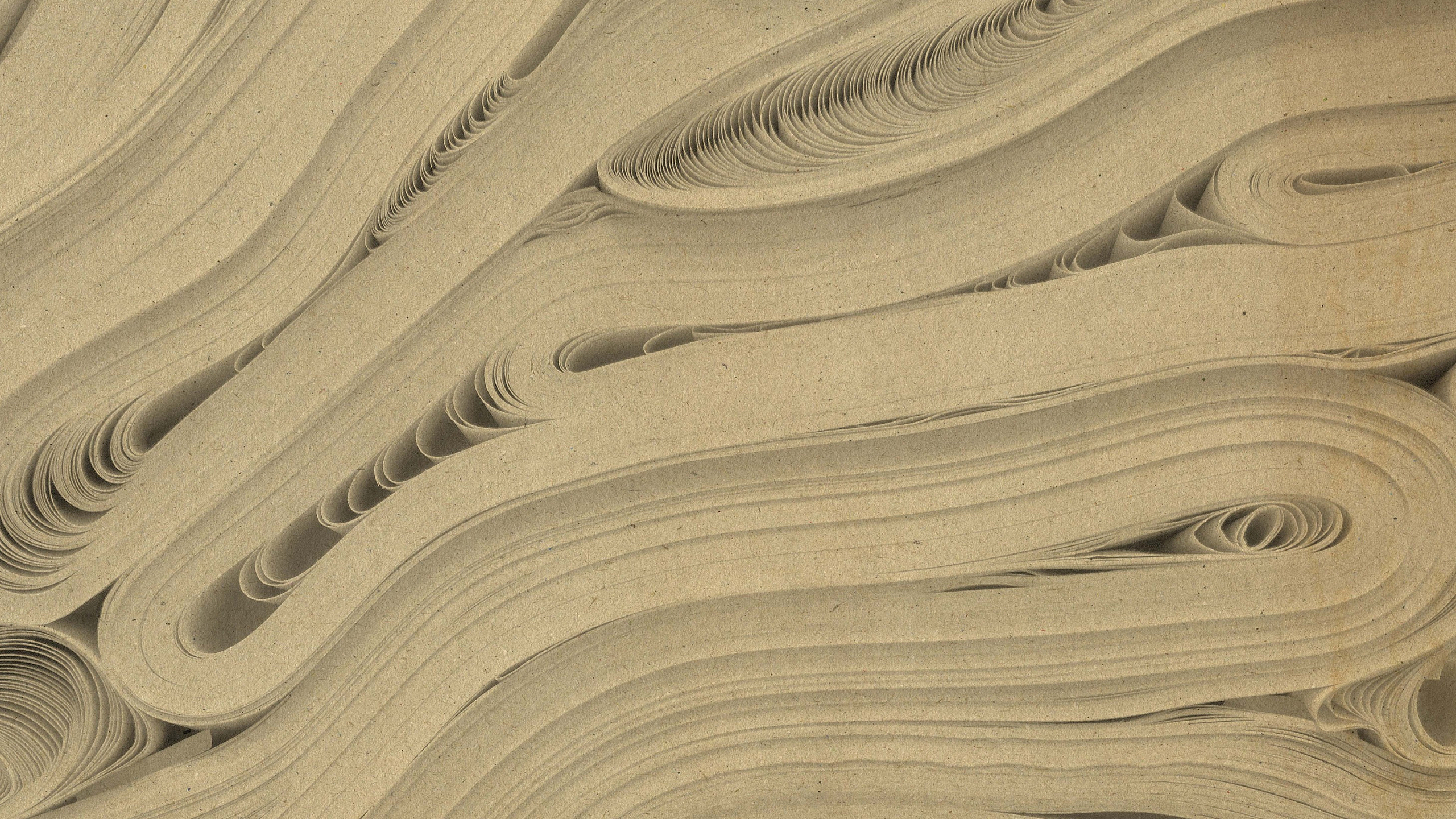 Dizzy Mule | Authentication