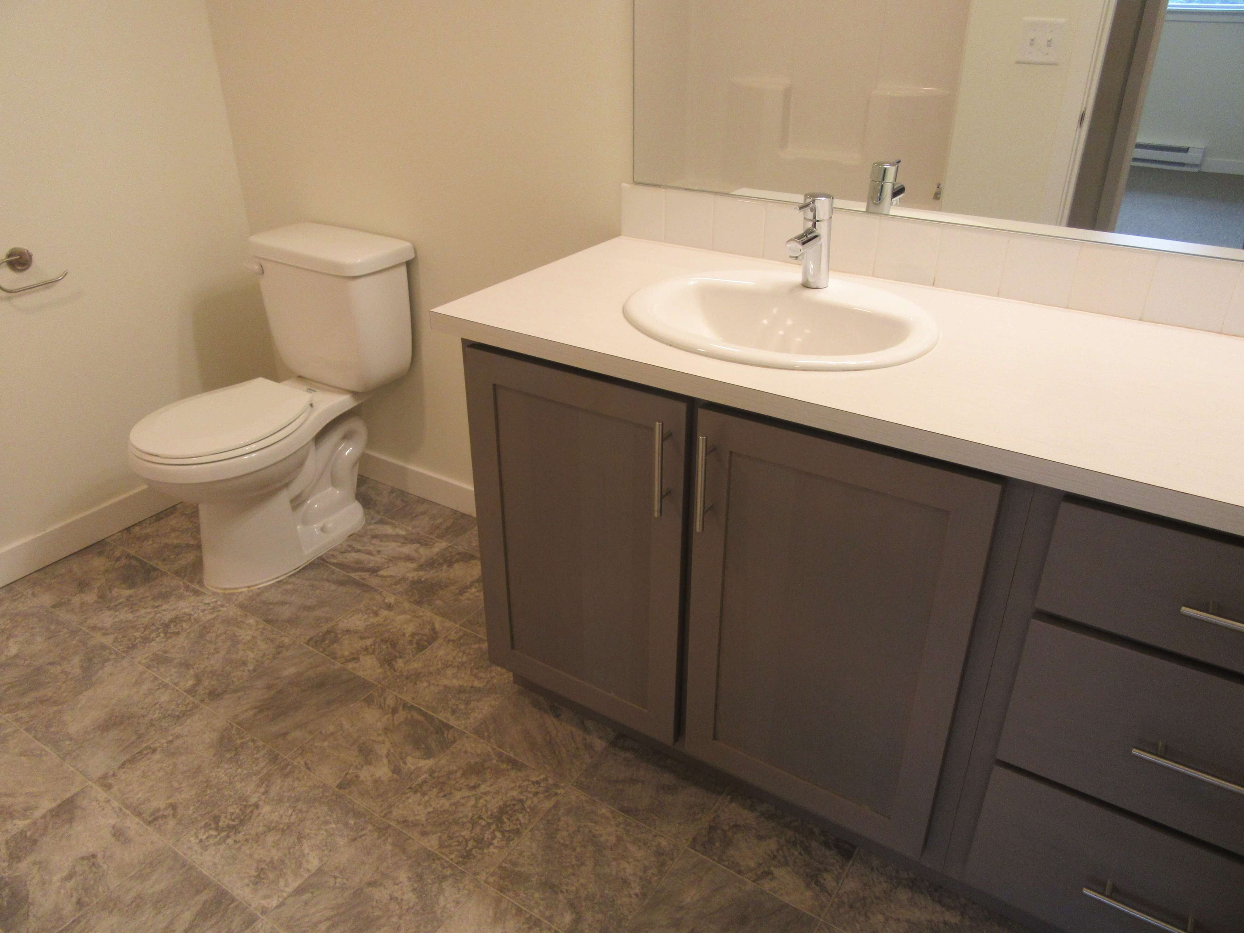 3-Bed 2-Bath | 3 Bed Apartment | Harvard Suites