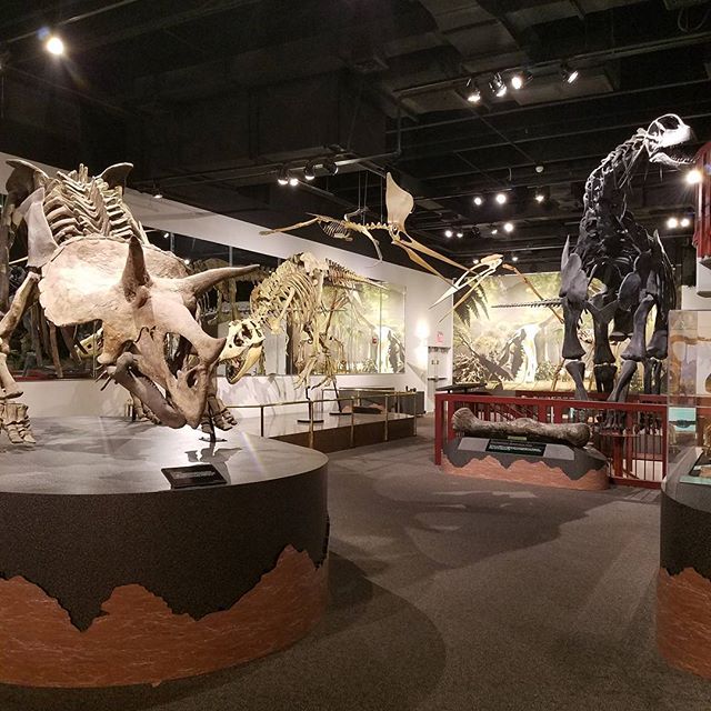 Virtual History Tour: A Guide to Mesa’s History