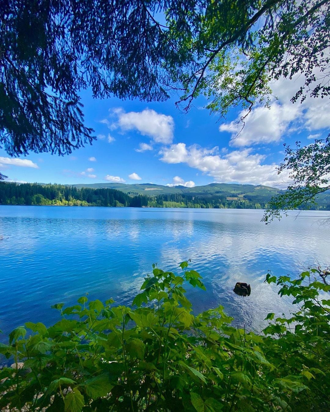 Keeping cool this summer: Lakes and Rivers near Vancouver WA