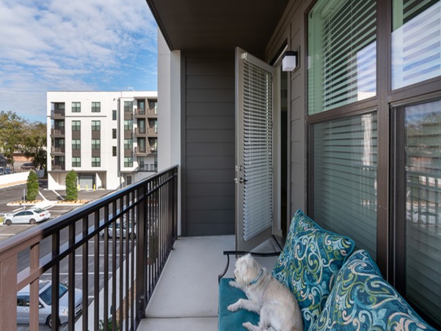 View Photos | Hite & Notch Apartments