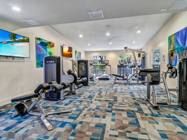 View Our Amenities | The Ava Apartments, LLC