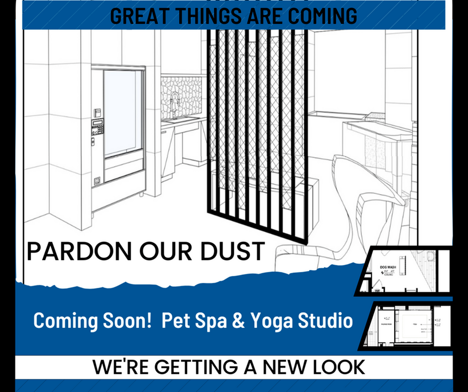 View Our Amenities | Meridian at Ballston Commons | Arlington Apartments