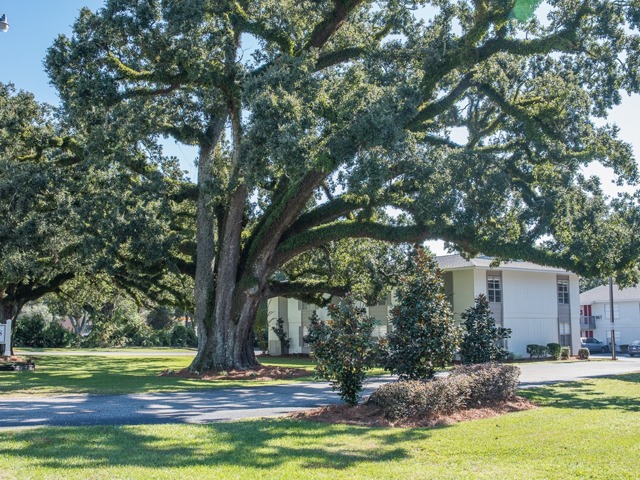 See What's Nearby | Twin Oaks Apartments