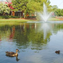 Vaughn Lakes | Apartments In Montgomery, AL