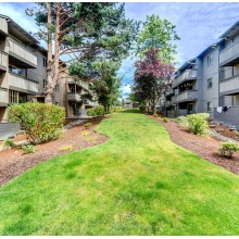 Maplewood Park | Apartments In Renton, WA | Renton Apartments